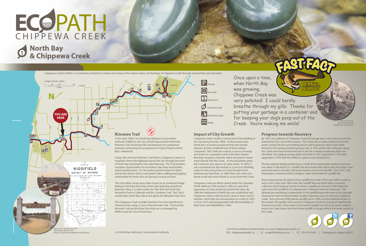 Chippewa Ecopath