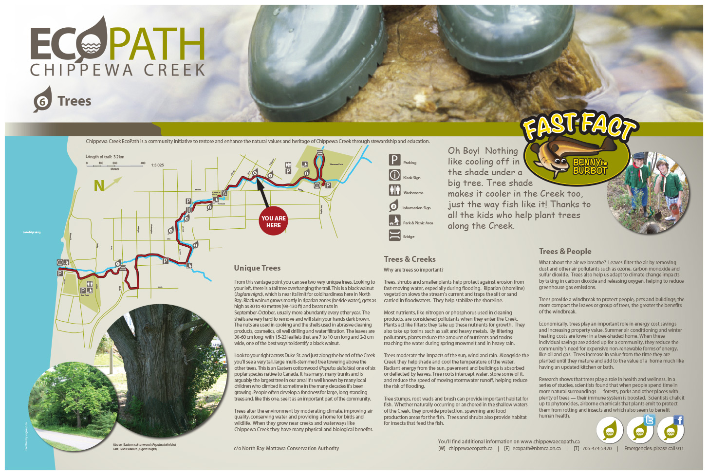 Chippewa Ecopath